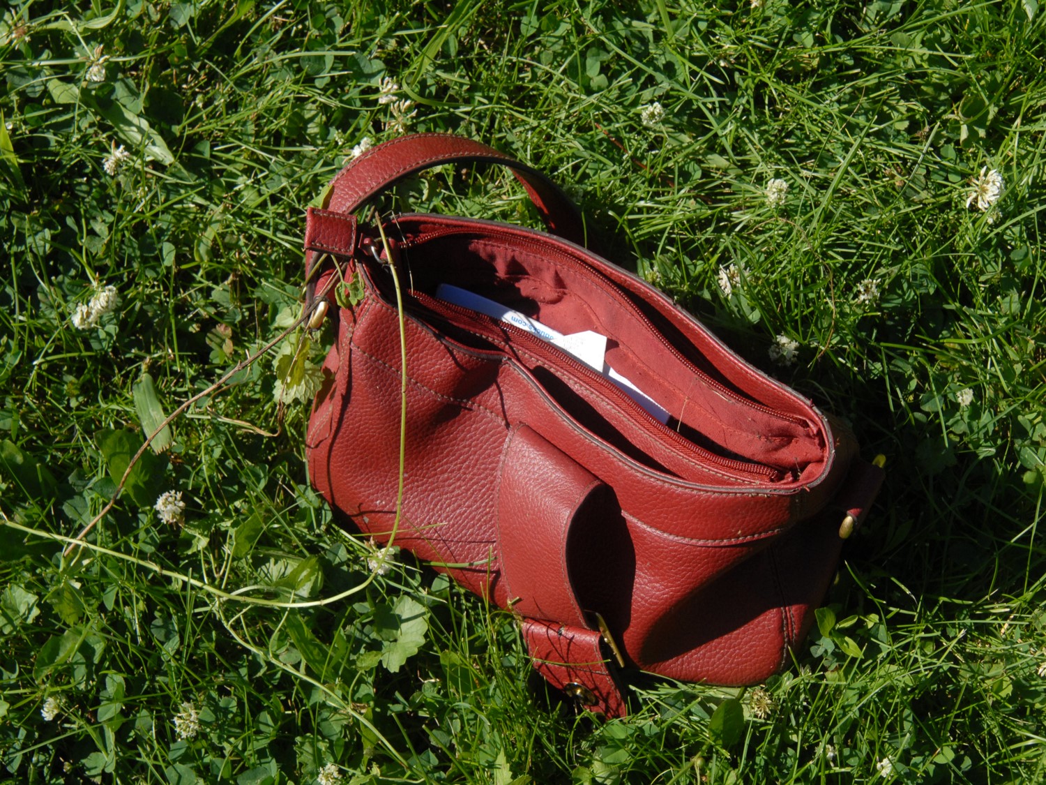 The Murder of Umi Southworth | Show Notes – The Murder Police Podcast